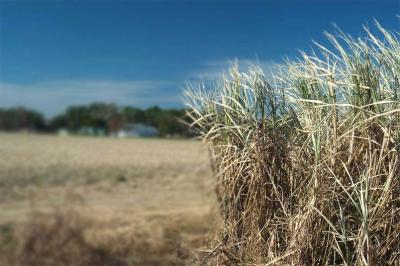 How To Manage Wildfire Outbreaks During The Dry Season - Kenson Group