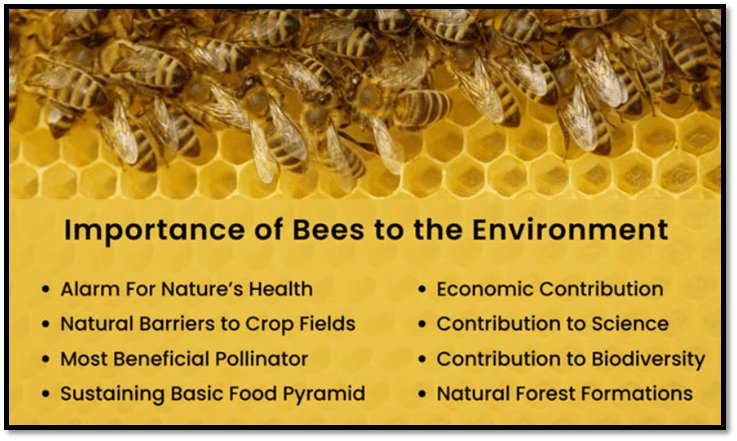 It’s World Bee Day! - Kenson Group